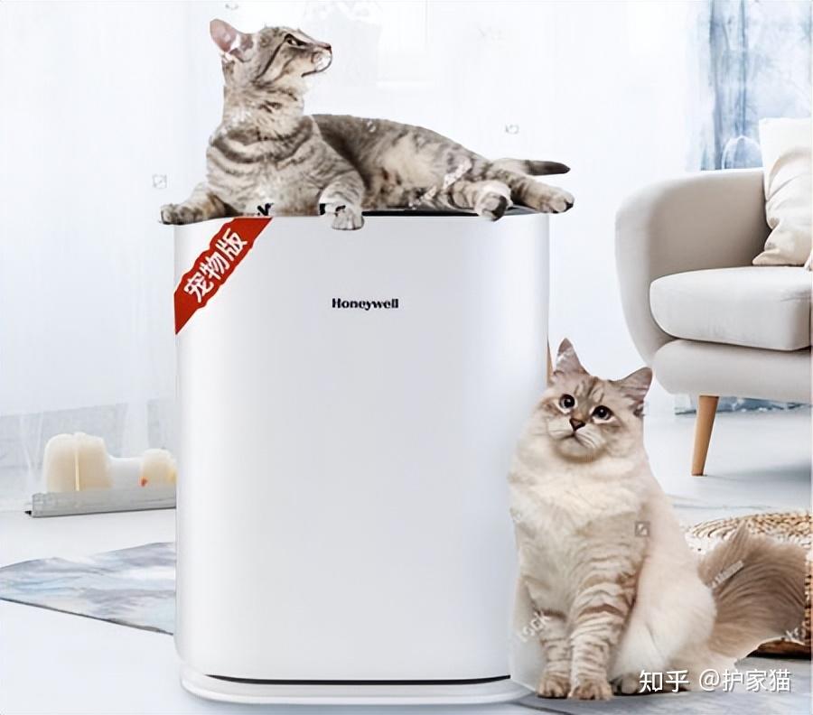 霍尼韦尔空气净化器实测揭秘 - 知乎