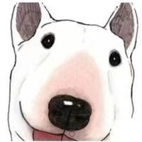 论文笔记：InternImage—基于可变形卷积的视觉大模型，超越ViT视觉大模型，COCO 新纪录 64.5 mAP！ - 知乎