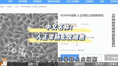 NCM460细胞培养，人正常肠上皮细胞培养攻略 - 丰晖生物 - 知乎
