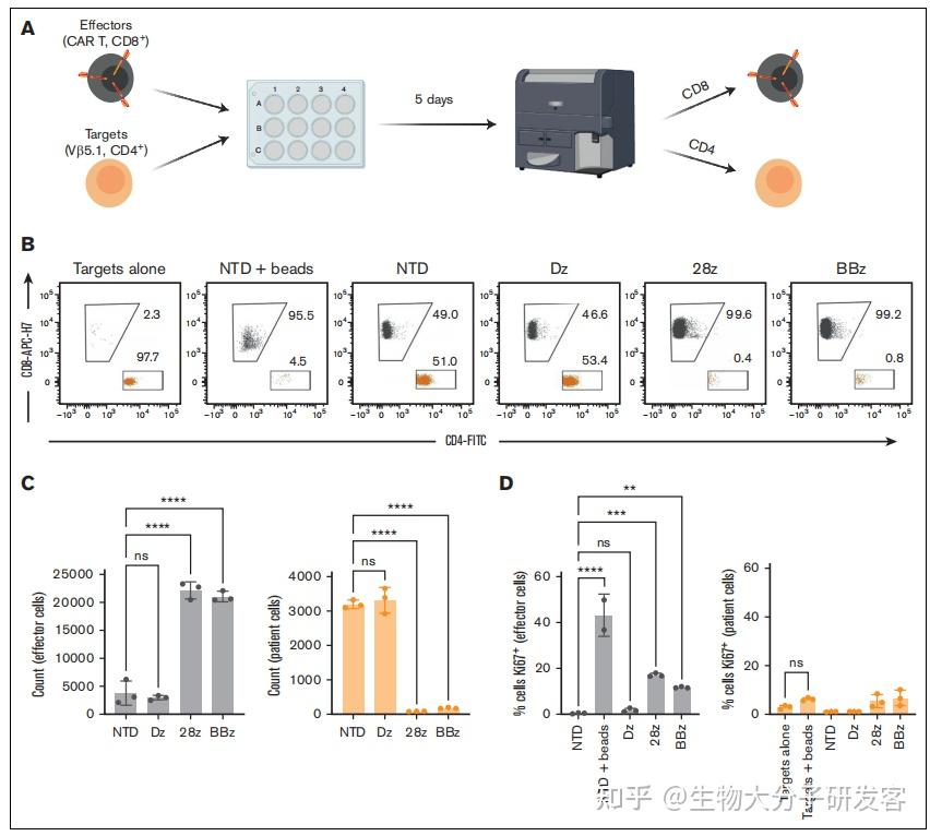 经典CAR分子的选择—全人源scFv抗体分子 - 知乎