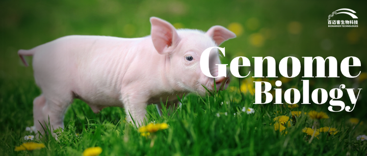 Genome Biol | 时空组学技术在猪早期卵子发生阶段的应用研究 - 知乎