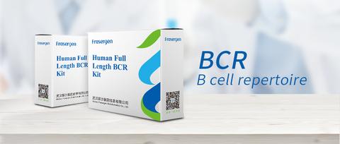 BCA法标准曲线绘制 - 知乎