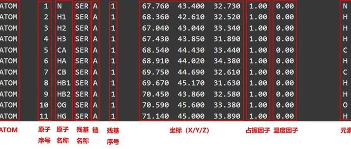 PDB文件格式|PDB文件中ATOM字段内容说明及格式化输出 - 知乎
