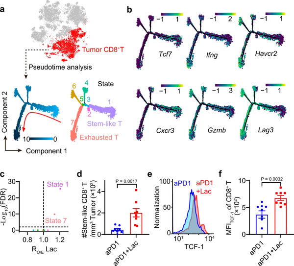 Nat Comm | 乳酸增加CD8 + T细胞的干细胞特性以增强抗肿瘤免疫力 - 知乎