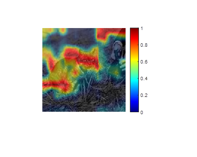 使用 Score-CAM方法解释深度学习分类结果 - 知乎