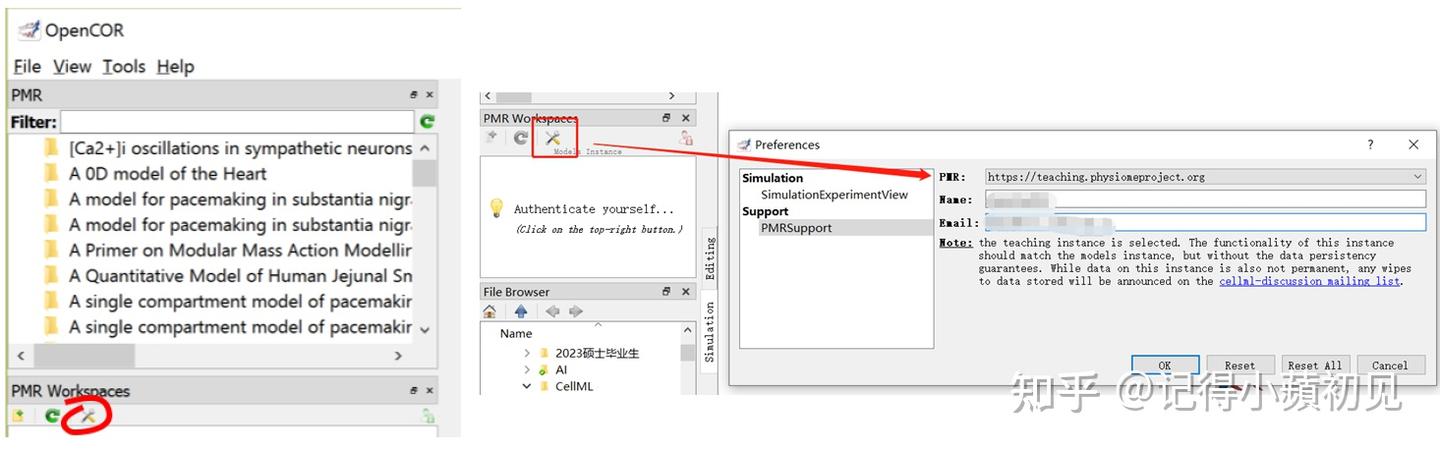 CellML教程15 - （高效管理代码）在OpenCOR中使用生理组模型库 - 知乎