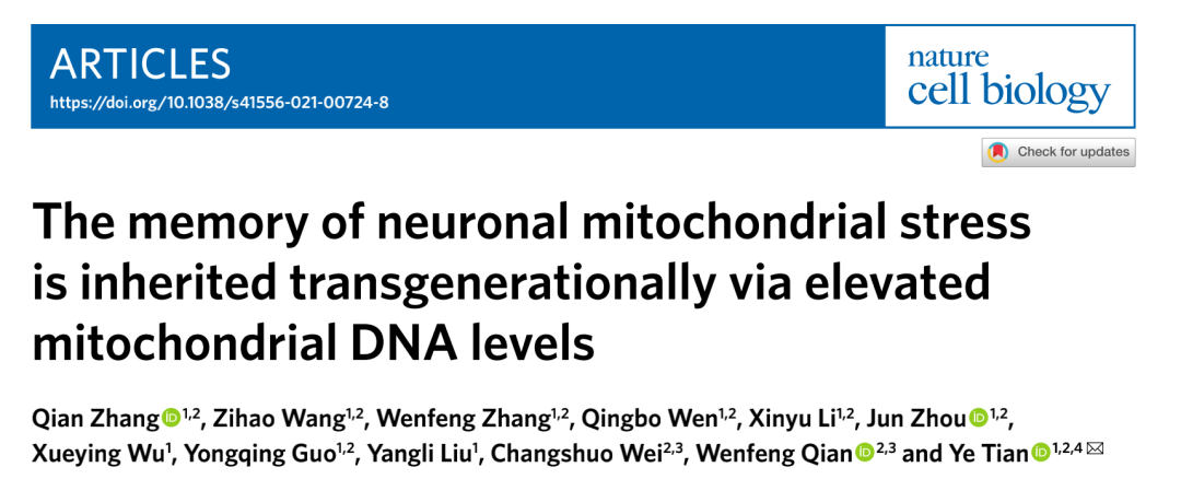 NCB：神经元线粒体应激记忆可通过mtDNA水平升高跨代遗传 - 知乎