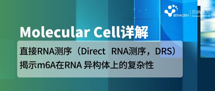 Molecular Cell详解：直接RNA测序（Direct RNA测序，DRS）揭示m6A在RNA 异构体上的复杂性 - 知乎