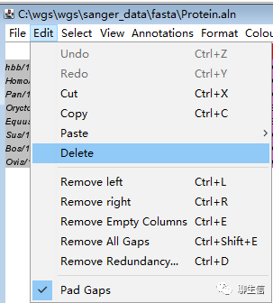 Jalview | 多序列比对图中显示序列标识 - 知乎