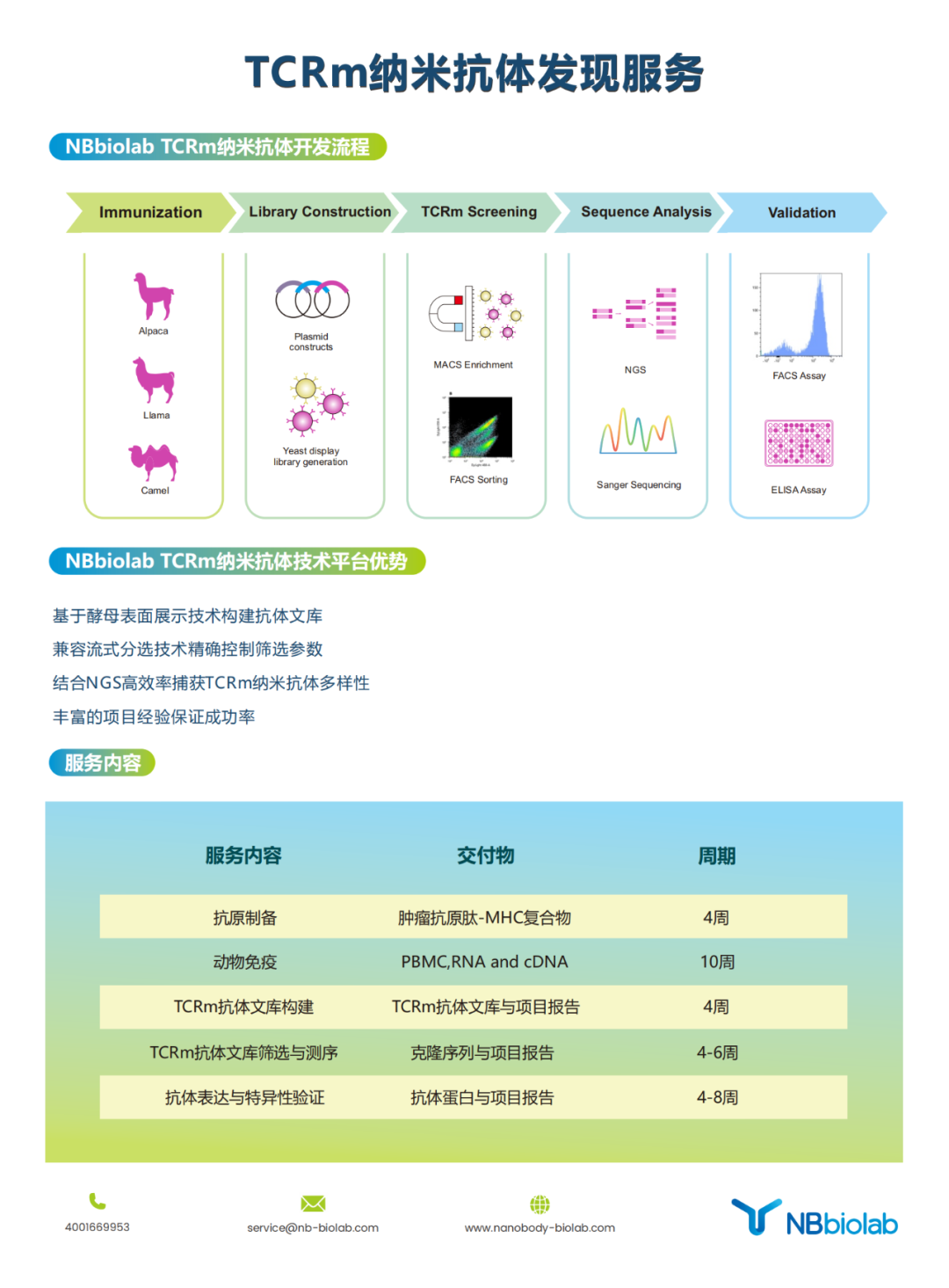 TCRm抗体专题|认识TCRm抗体及其作用方式 - 知乎