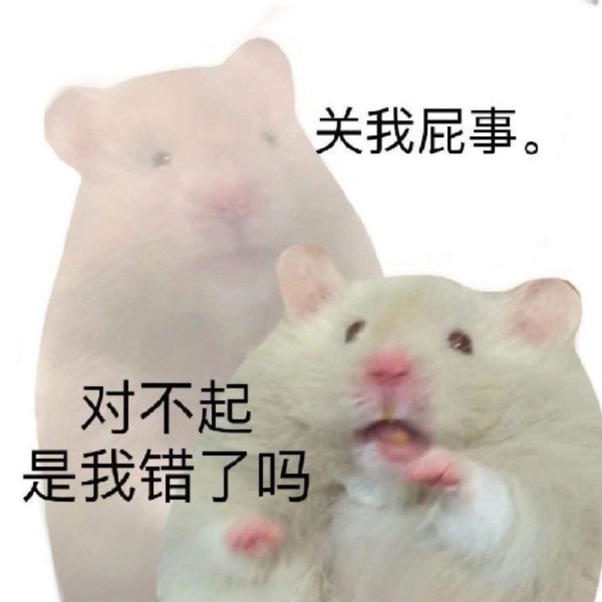 友友们，有没有发疯发癫的表情包? - 知乎