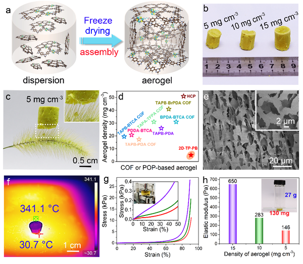 西湖大学徐宇曦教授团队 Angew: 水溶液可加工二维三嗪高分子及其高效光催化 - 知乎
