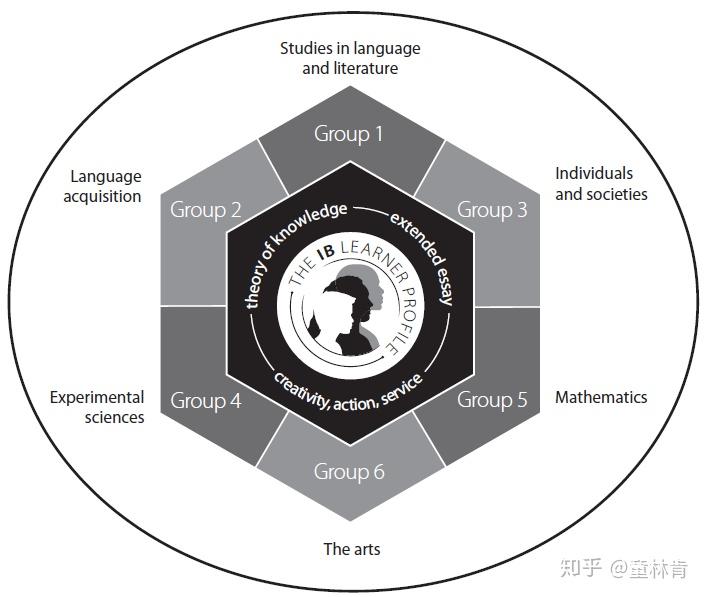 【IB】IB数学速览 - 知乎