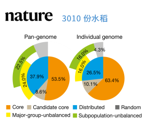 泛基因组(Pan-genome)研究思路与应用—作物篇 - 知乎