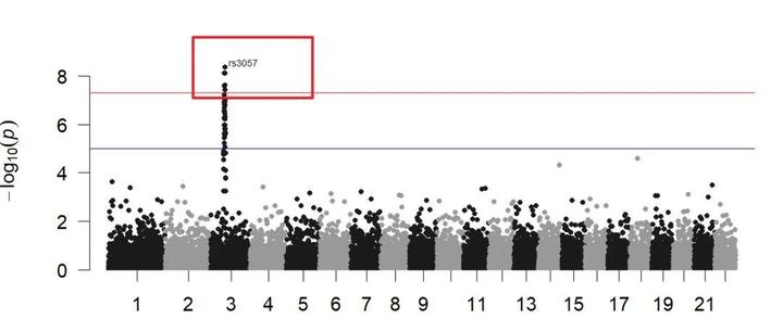 GWAS中曼哈顿图如何显示snp的信息 - 知乎