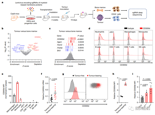 Nature | 复旦大学团队发现免疫治疗新靶点CD300ld - 知乎