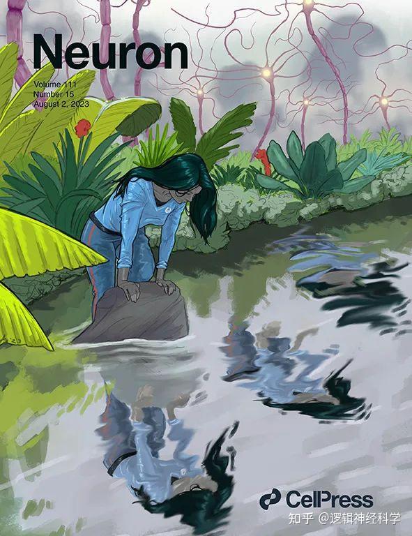 Neuron︱收藏！2023年期刊封面文章汇总 - 知乎