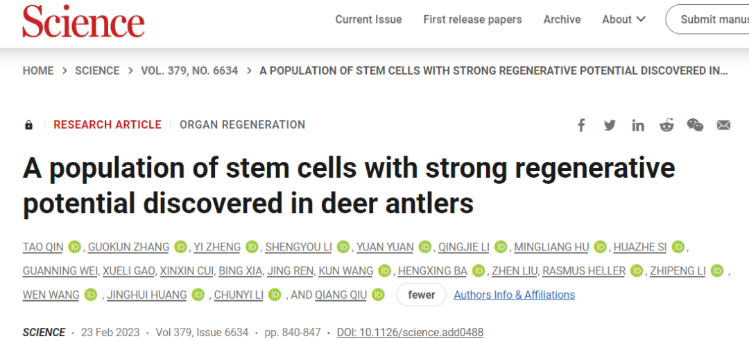 Science | 新发现！中国团队揭示鹿角「胚芽祖细胞」促进再生机制，为器官再生提供理论基础 - 知乎