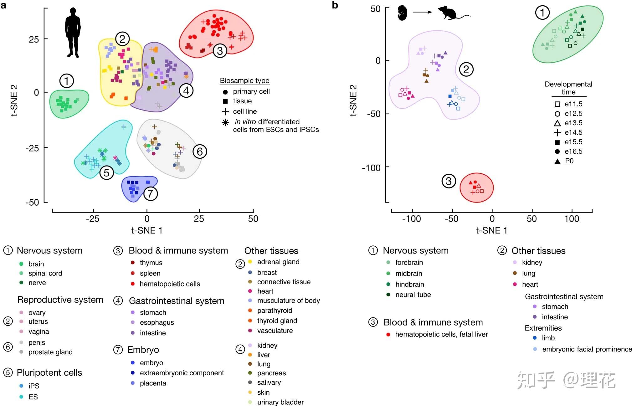 ENCODE项目第三期论文解读之一：扩增的人和小鼠基因组的DNA元件百科 - 知乎