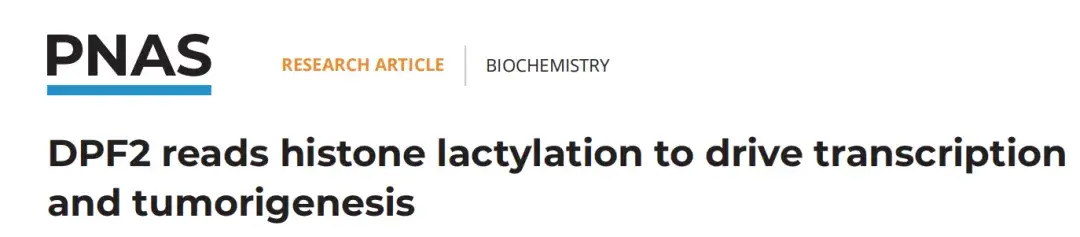 PNAS、NAR | 天津医科大学张锴：组蛋白乳酸化、β-羟基丁酰化的阅读器及其调控机制 - 知乎