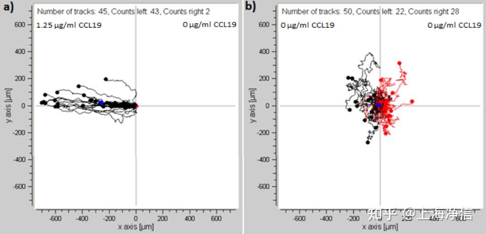 ibidi细胞趋化实验|可视化的Transwell细胞趋化实验原理+操作步骤 - 知乎