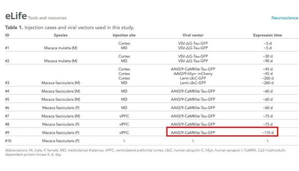 AAV、VSV和 LV在猕猴上的应用 - 知乎