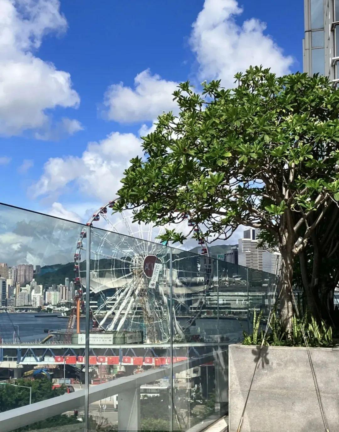 香港IFC——链接两岸的超级综合体TOD项目 - 知乎