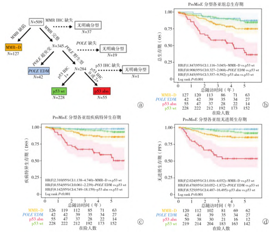 子宫内膜癌分子分型学习笔记 - 知乎