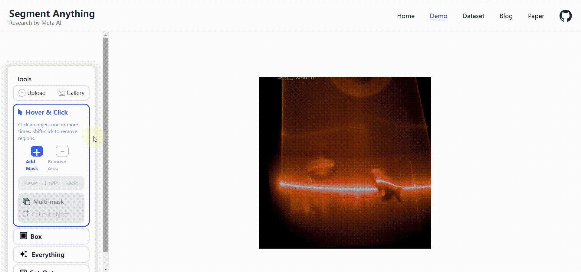 SAM（Segment Anything Model）让CV走到尽头？学CV的研究生还能正常毕业吗？怎么使用SAM？ - 知乎