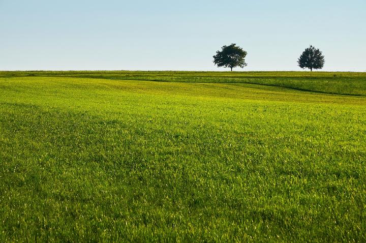 Linux Binutils 基本使用教程 - 知乎