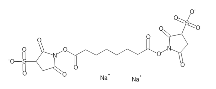 BS3交联剂，伯胺反应性交联剂 - 知乎