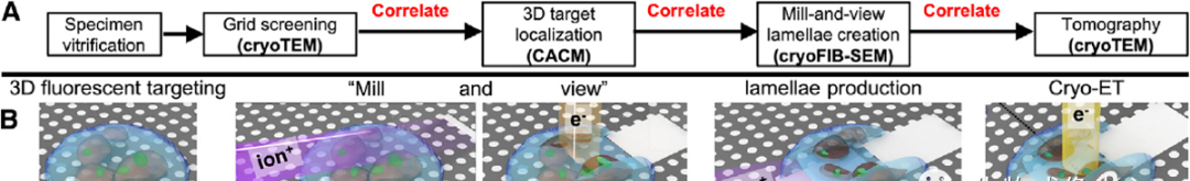 冷冻聚焦离子束-扫描电镜成像技术（Cryo-FIB-SEM）研究进展 - 知乎