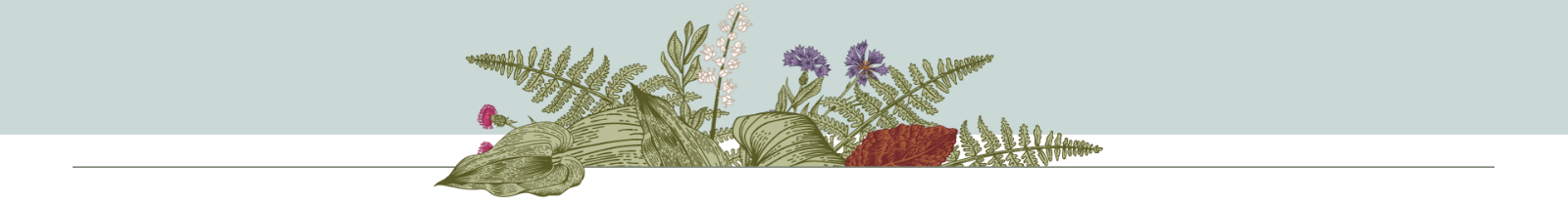 多智能体强化学习环境PettingZoo文档详解（四）-教程 - 知乎