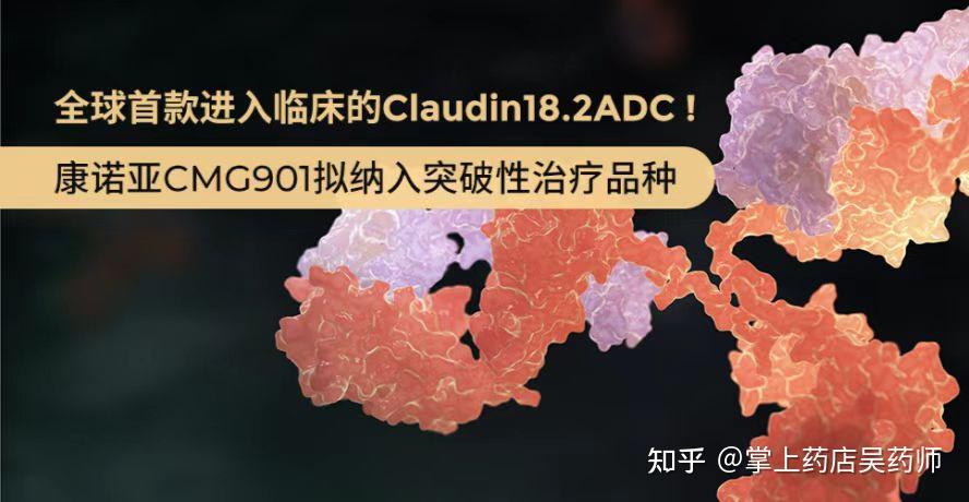 康诺亚ADC药物CMG901靶向治疗Claudin 18.2阳性胃癌：疾病控制率70.8%！ - 知乎