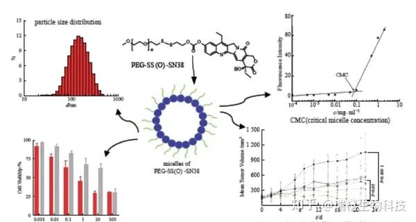 DLPC-PEG-DOC 磷脂-聚乙二醇-多西他赛 - 知乎