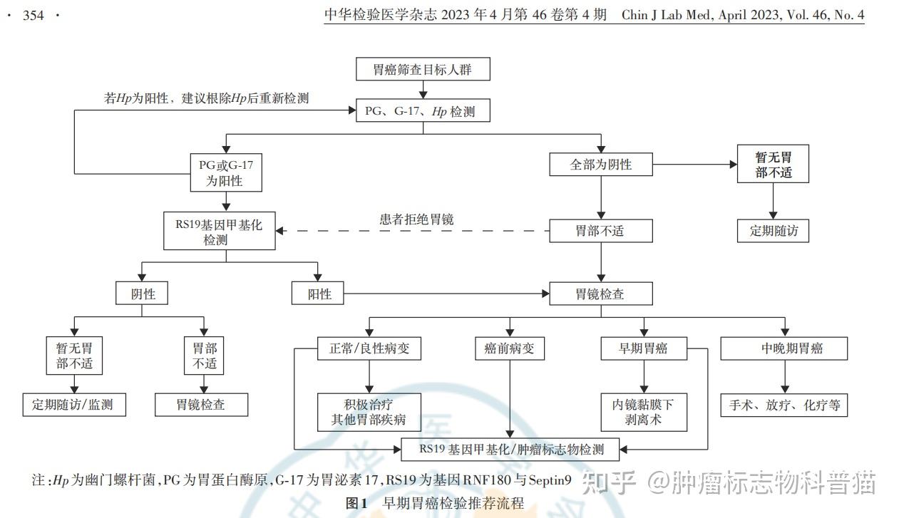 肿瘤标志物科普系列--PGI/PGII（胃蛋白酶原I+II） - 知乎