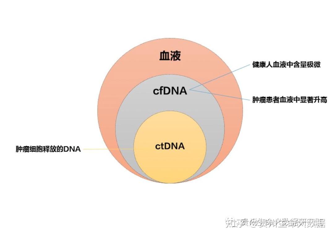 cfDNA—分子检测技术的宠儿 - 知乎