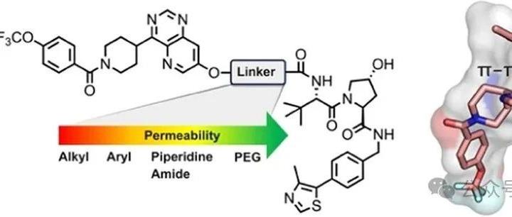 【JMC】 VHL-PROTAC 连接子对细胞通透性的构效探究 - 知乎