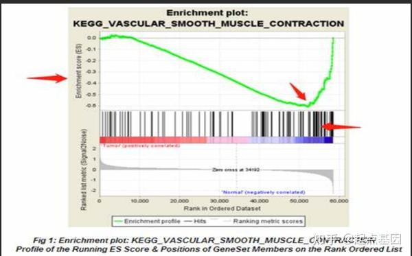 GO,KEGG,GSEA,ssGSEA傻傻分不清楚？ - 知乎