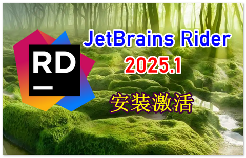 JetBrains Rider 安装激活全攻略！.NET 开发者必备神器 - 知乎
