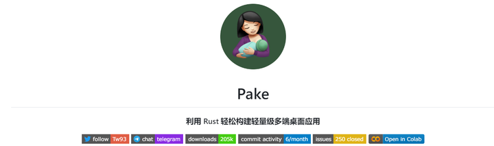 Pake一键打包，轻松构建桌面级应用！ - 知乎