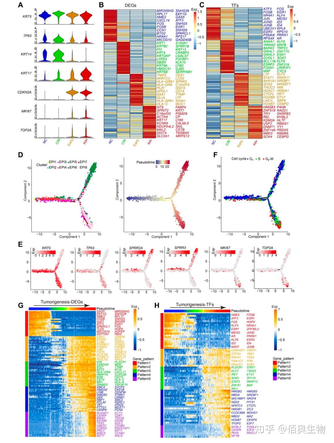 学会这个单细胞分析套路，你也能发14分+Top期刊 - 知乎