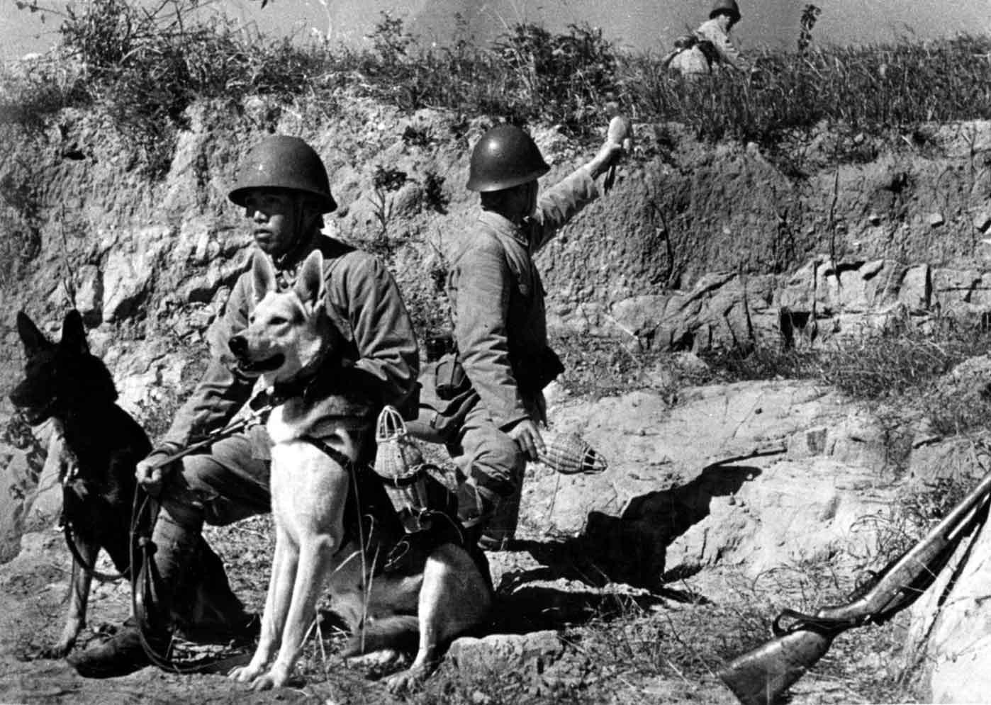 中日战争图集1937—1945（7）——敌后游击队 - 知乎