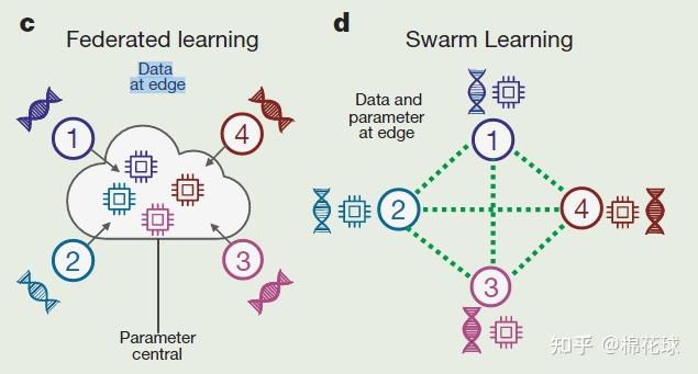 群体学习Swarm Learning （SL） - 知乎