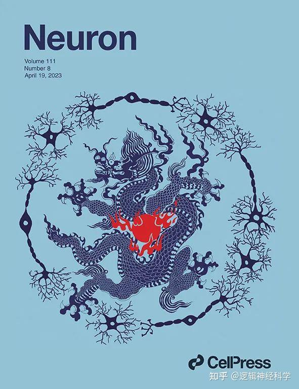 Neuron︱收藏！2023年期刊封面文章汇总 - 知乎