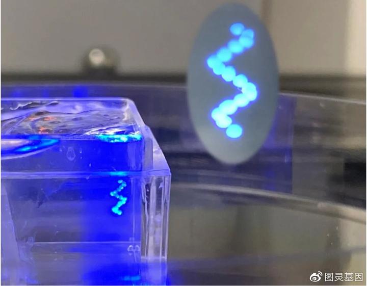 Comm Phy | 利用屈服应力凝胶推进生物组织3D打印 - 知乎