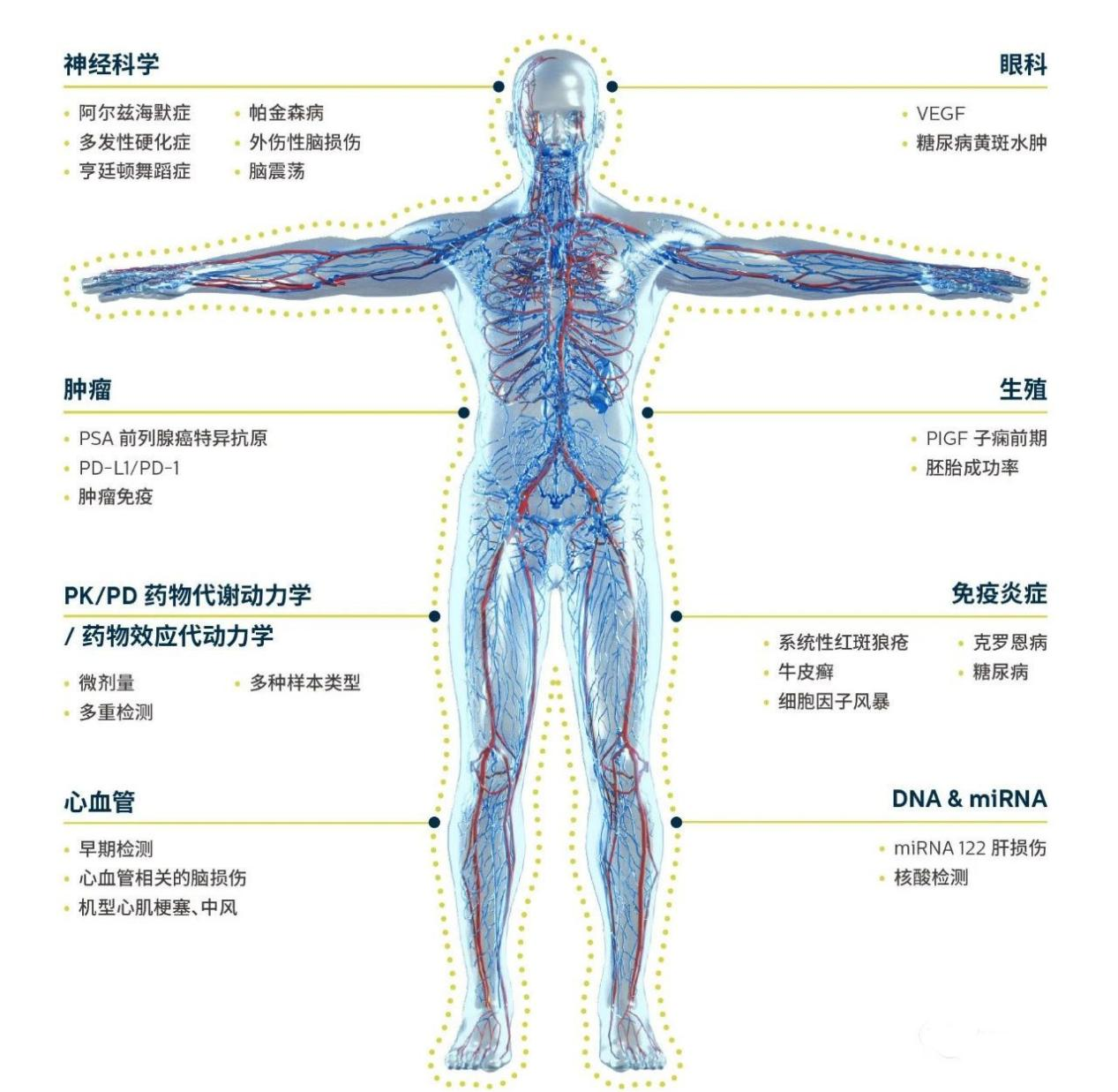 Simoa SR-X桌面型超灵敏单分子蛋白检测仪!-上海玮驰仪器有限公司