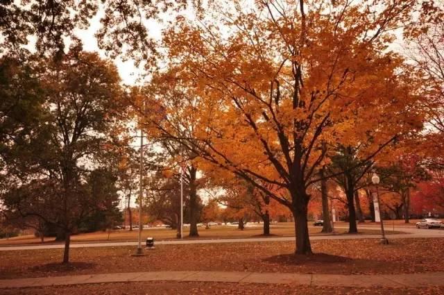 在罗斯霍曼理工学院 (RHIT) 就读是怎样一番体验？ - 知乎