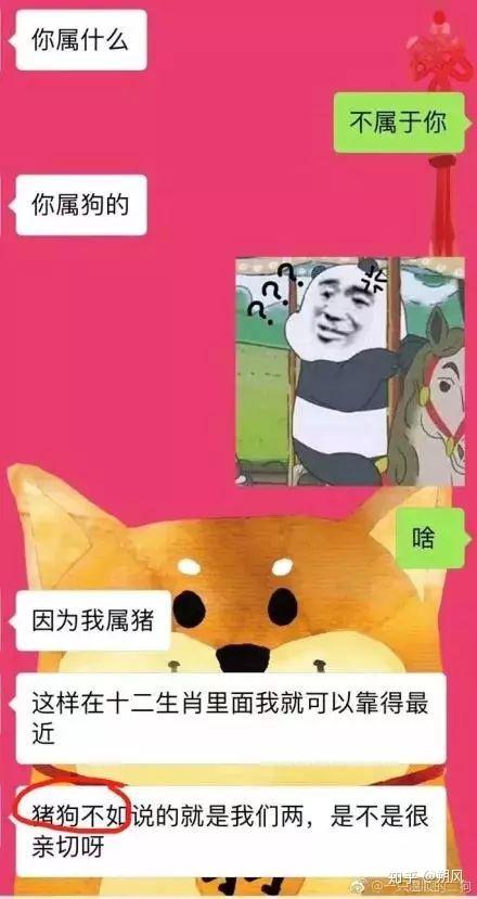 和一个不会聊天的直男聊天是什么样的感受? 知乎