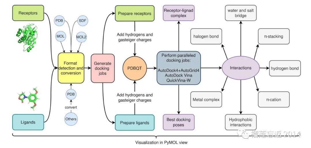 Dockey：大规模分子对接和虚拟筛选的一站式解决方案 - 知乎